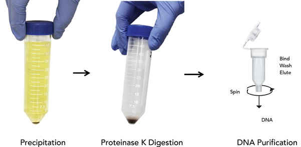 Cambridge Bioscience: DNA from urine: Quick-DNA